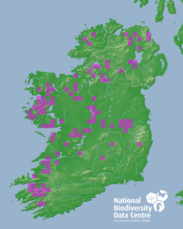 Species Profile Browser · Species Profile