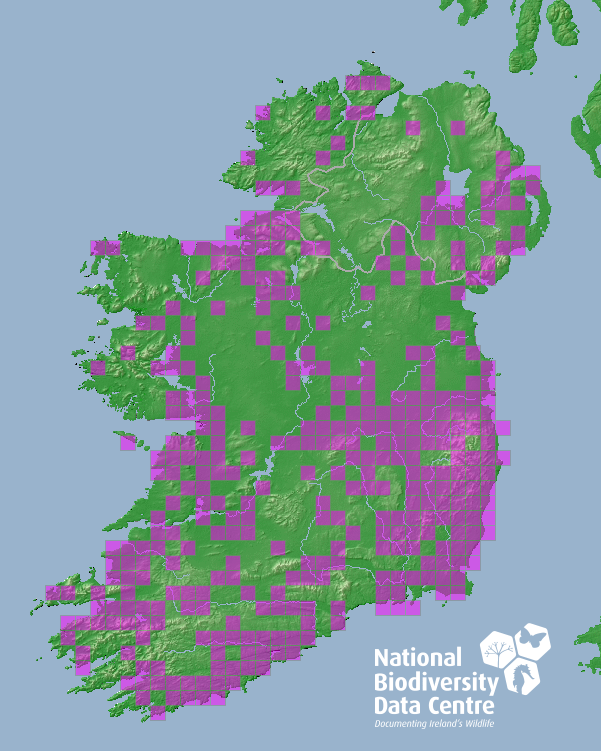 Species Profile Browser · Species Profile
