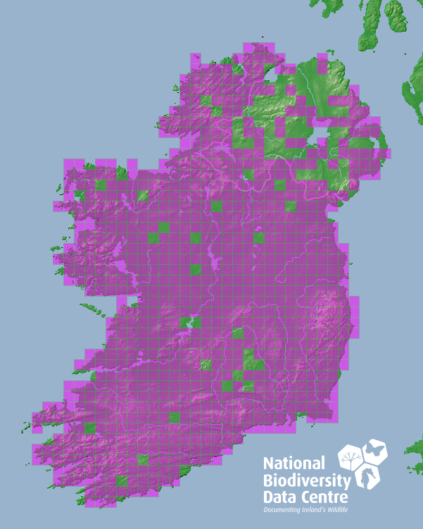 Species Profile Browser · Species Profile