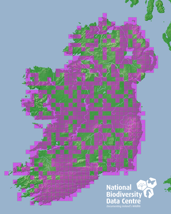 Species Profile Browser · Species Profile